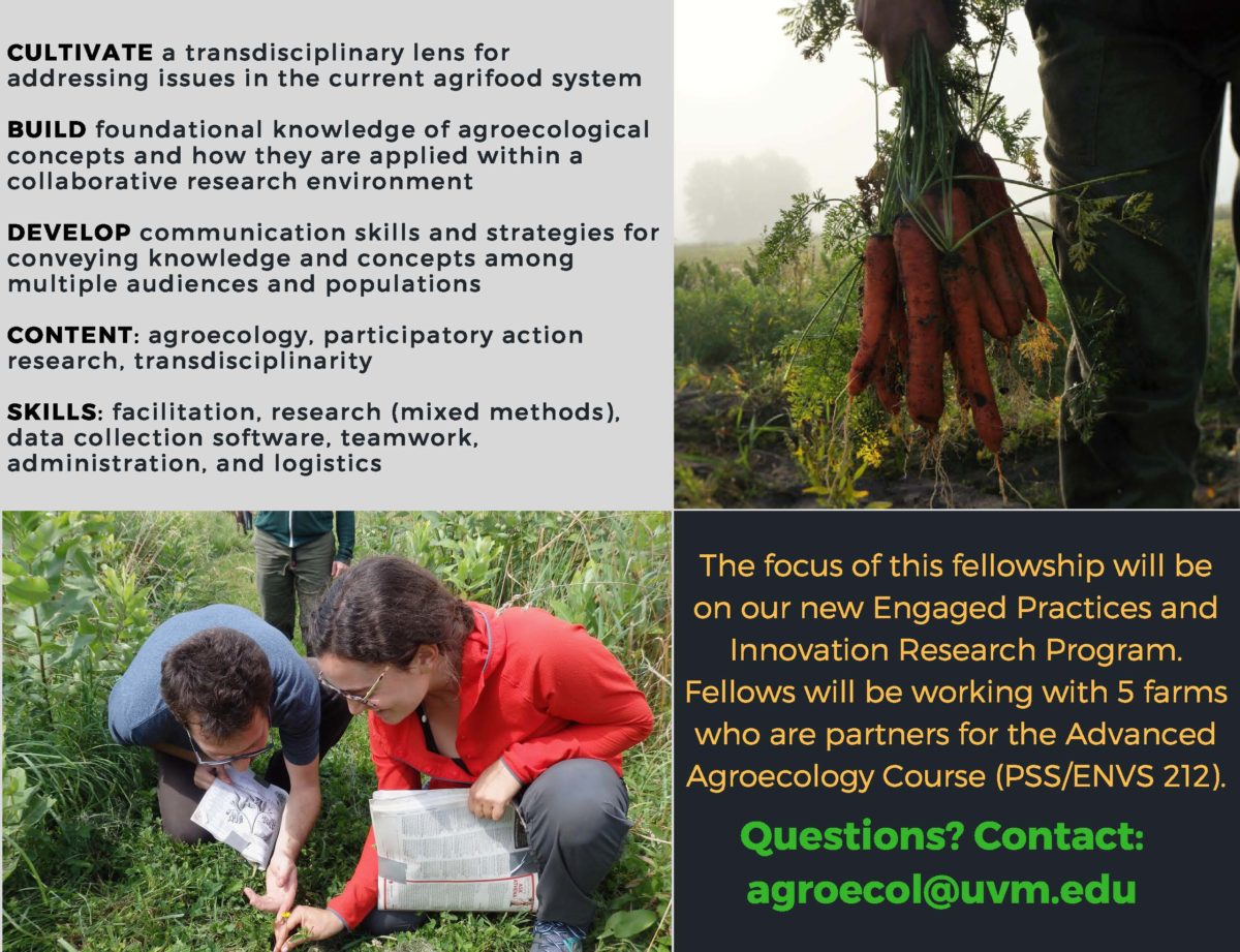 ALC launches second cohort of Undergraduate Research Fellows ...