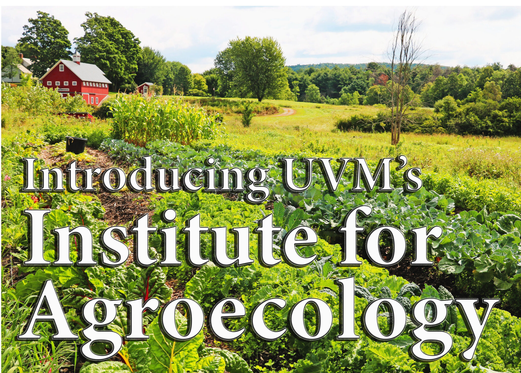 NewInstituteButton - Agroecology at UVM
