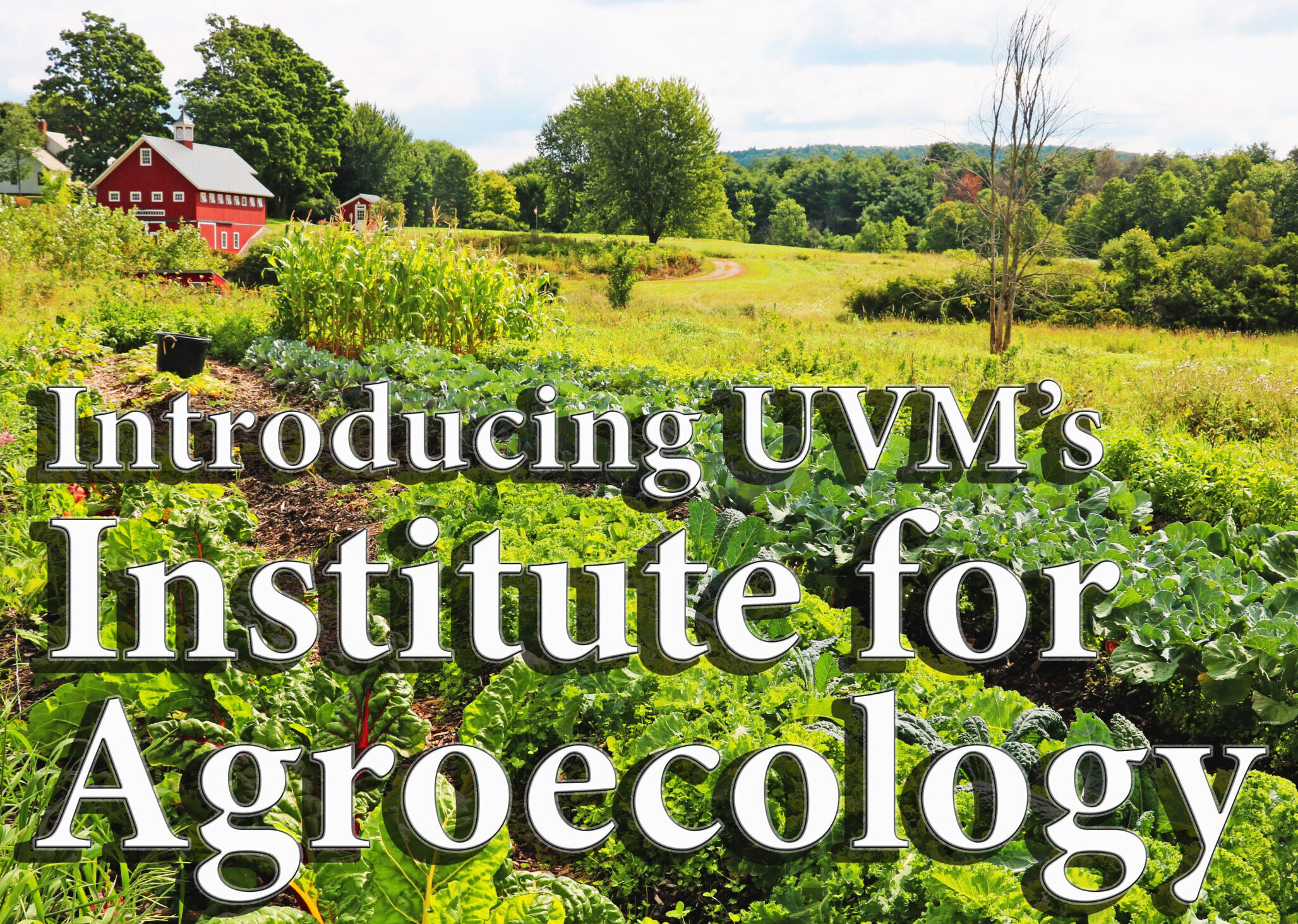 InstituteButton2 - Agroecology at UVM