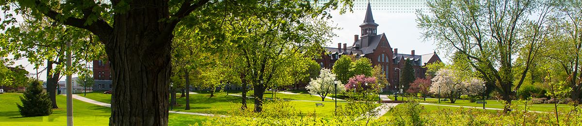 Undergraduate Admissions