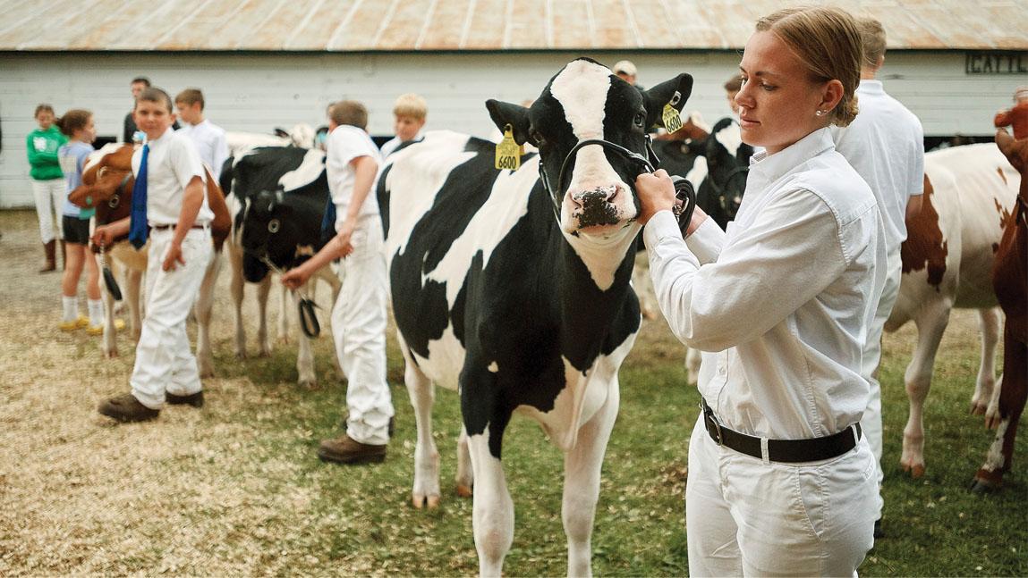 It’s Agricultural Fair and Exhibition Season: Do You Know How to ...