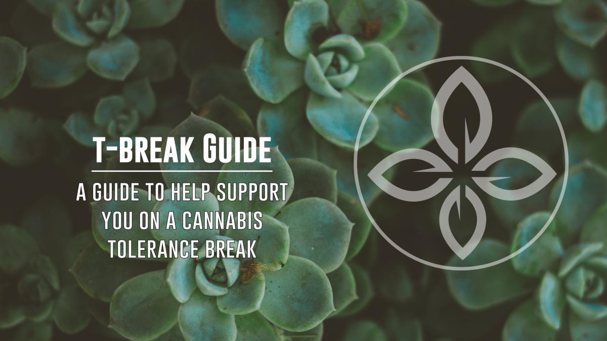 CHWB’s Tom Fontana Publishes Article on Effective Cannabis “T-Break ...