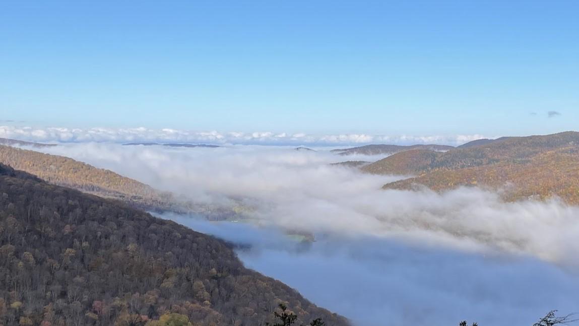 Forestry | The University of Vermont