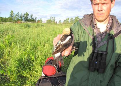 Allan Strong Appointed to Vermont Endangered Species Committee
