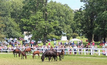 Historic UVM Morgan Horse Farm Announces New Leadership and New ...