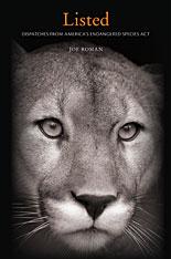 Gund Fellow Joe Roman discusses the Endangered Species Act on NPR’s ...