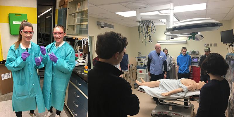 Graduate Program Spotlight: Biomedical Engineering