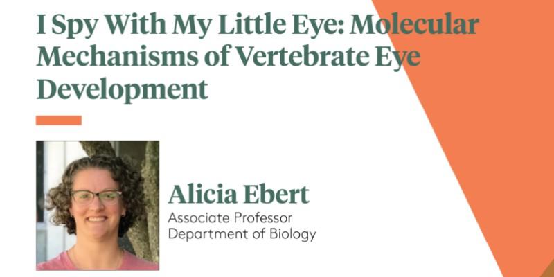 Eye Development in Vertebrates Topic of Next CAS Dean's Lecture