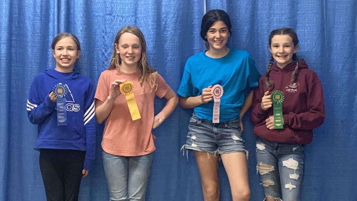 4-h-horse-members-have-exciting-competition-day