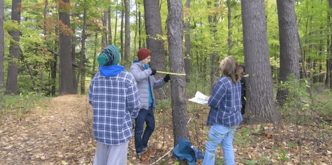 BioCore (BCOR) Curriculum | Biological Science Program | The University of Vermont