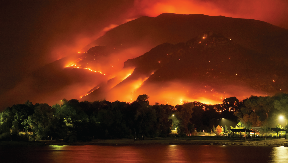 Americans Are Flocking to Wildfire: U.S. Migration Study Americans Are Flocking to Wildfire: U.S. Migration Study