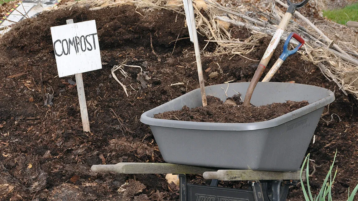 Course Teaches the Science and Practice of Backyard Composting