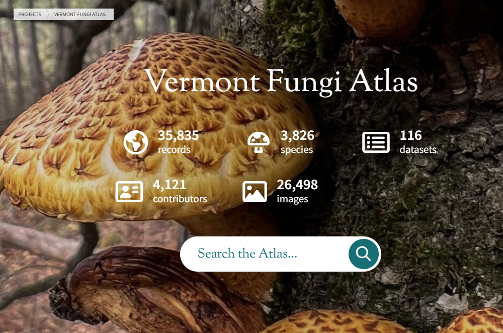 FEMC - Project - Database for Vermont Fungi - Overview