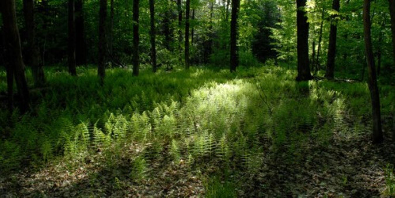 FEMC - Project - Vermont Trail Register Digitization Project - Overview