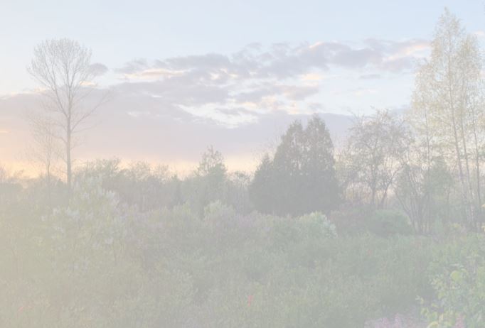 FEMC - Project - Vermont Carbon Budget - Overview