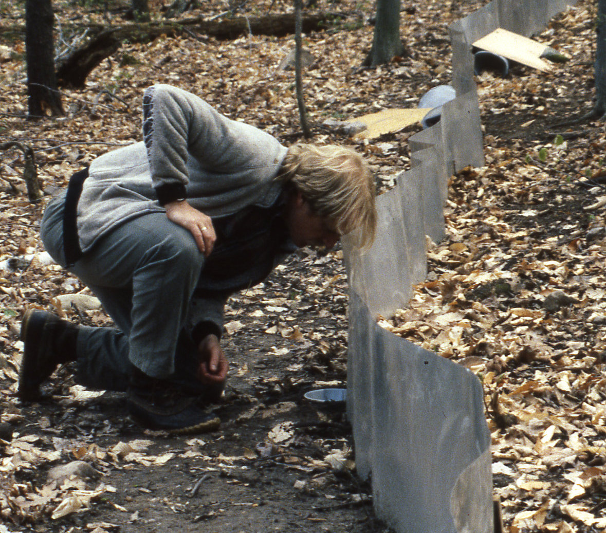 FEMC - Dataset - Amphibian Drift Fence Captures on Mt. Mansfield and ...