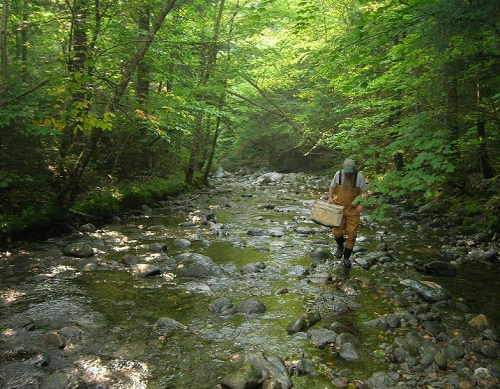 FEMC - Forest Ecosystem Monitoring Cooperative FEMC - Forest Ecosystem Monitoring Cooperative
