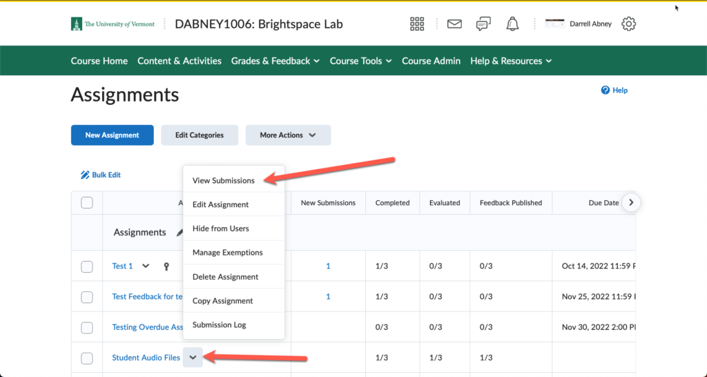 Brightspace – Assignments – UVM Knowledge Base