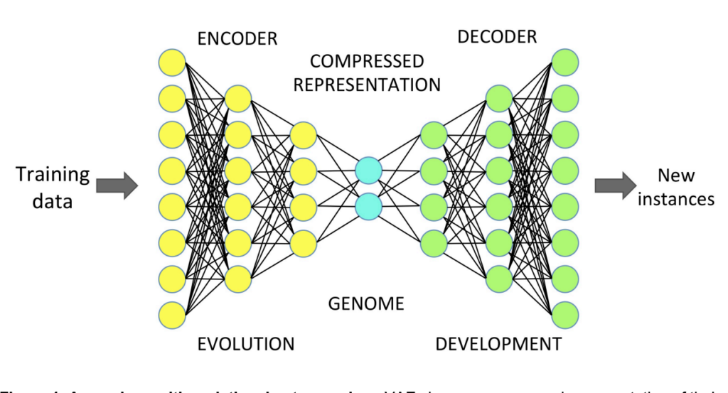 Publications – University of Vermont Neurobotics Lab