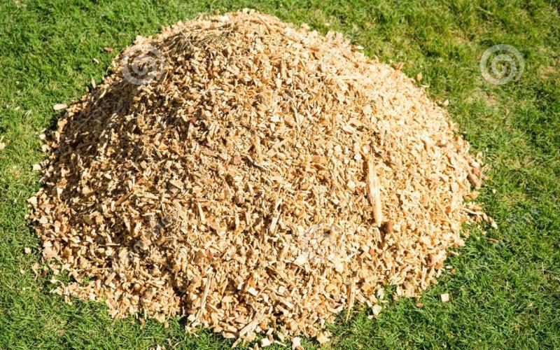 Wood Chips | Lake Champlain Sea Grant