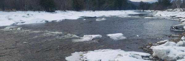 How Do Fish Survive Winter in Rivers and Streams? | Lake Champlain Sea ...