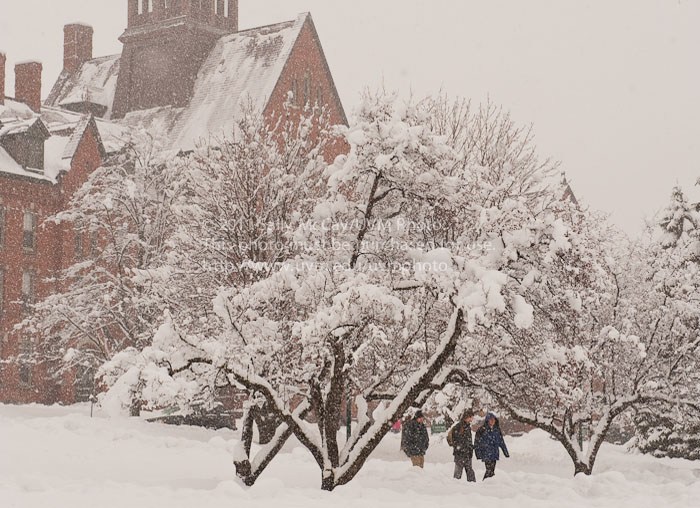 UVM Winter Campus