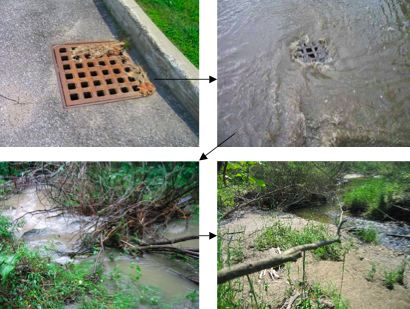 RAN fate and effects