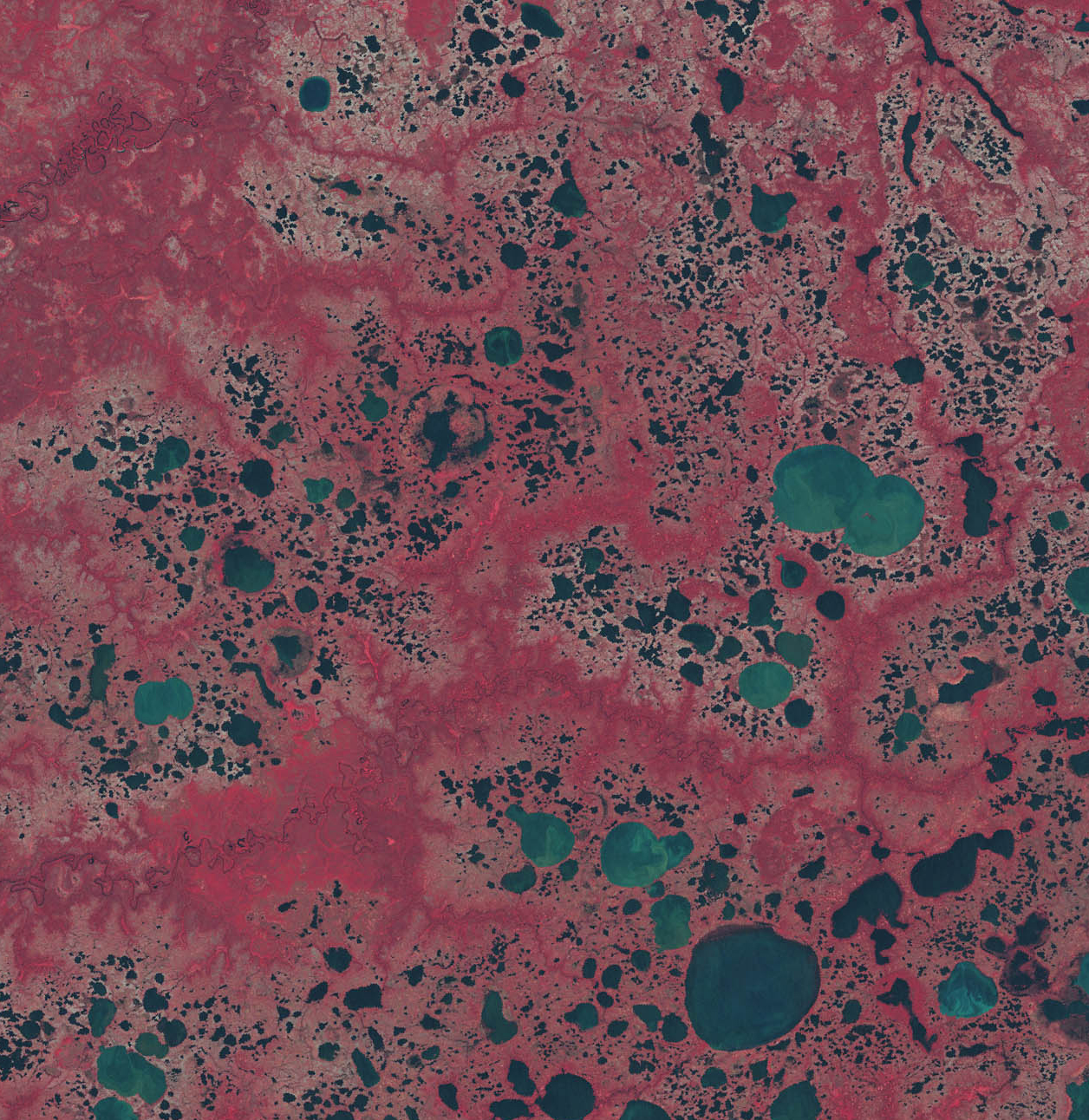 Module 7: Google Earth and Other Geoviewers