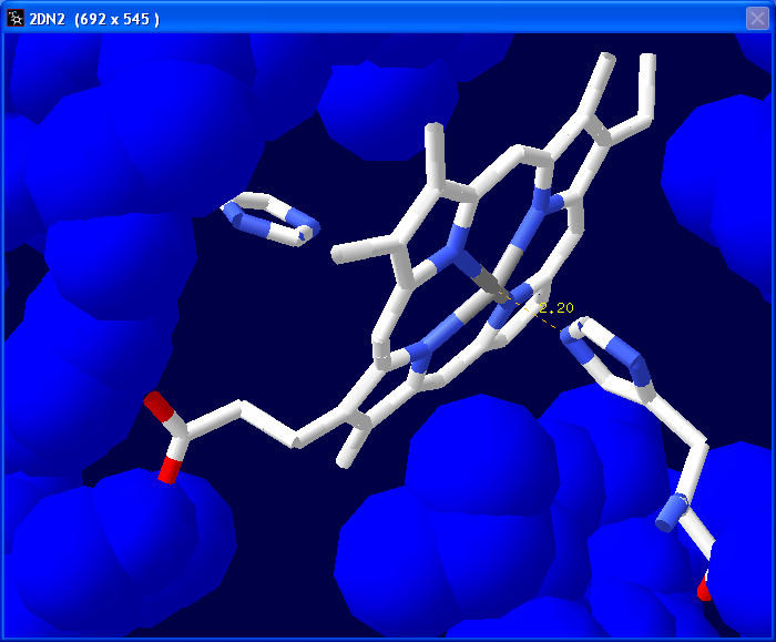 MMDB and PDB.htm