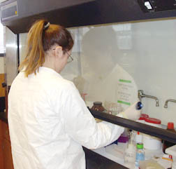 Vermont Genetics Network Microarray Outreach