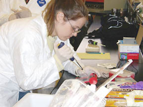 Vermont Genetics Network Microarray Outreach